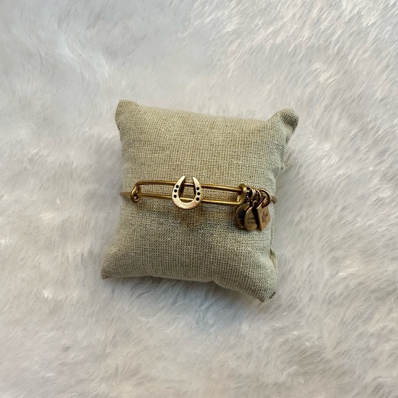 Alex and Ani | Jewelry | Kentucky Derby Alex And Ani Slider Charm ...